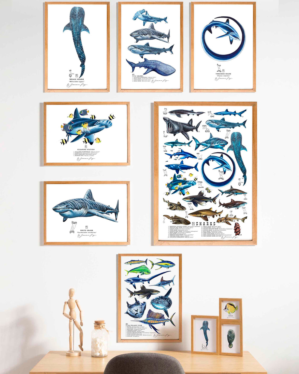 Whale Shark Art Print – Francesca Page Collections